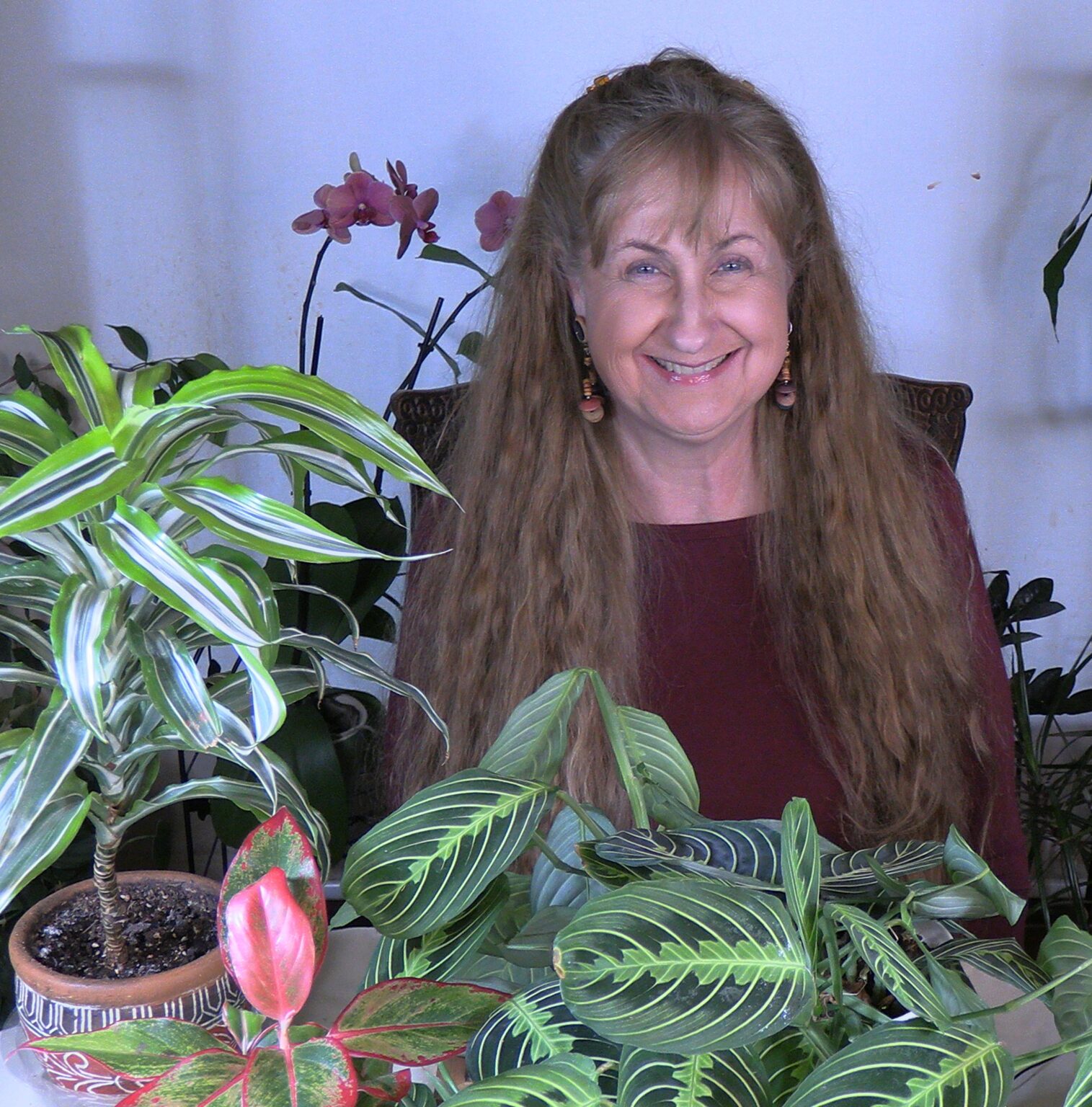 Indoor Gardening - your number one website for up-to-date information ...