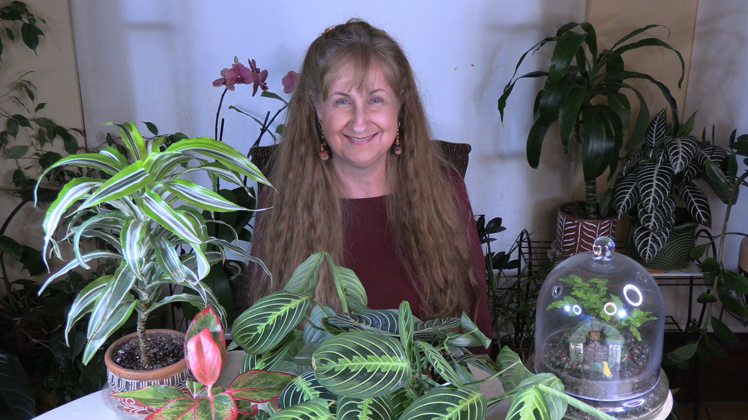 One-on-One Indoor Houseplant Consultation & Care – Personalized Help ...